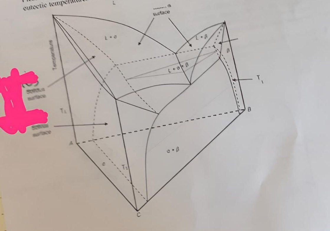 Solved Which phases exist in the inner triangle in the | Chegg.com