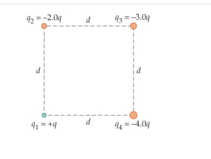 Solved Find the direction and magnitude of the net | Chegg.com