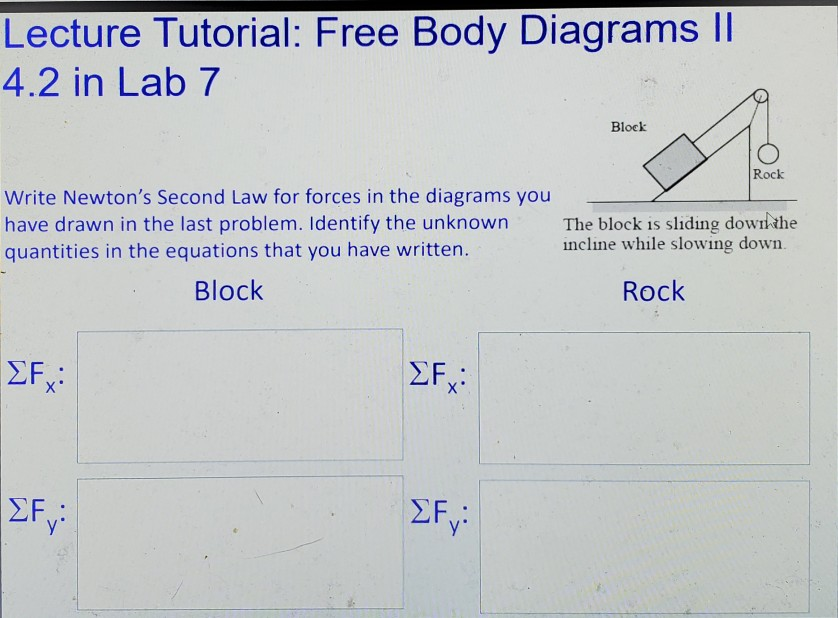 Solved Lecture Tutorial: Free Body Diagrams II 4.2 in Lab 7 | Chegg.com