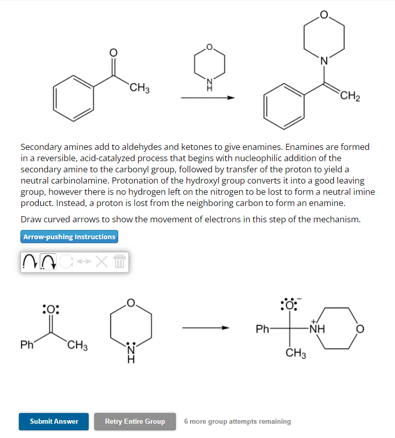 Solved Secondary amines add to aldehydes and ketones to give | Chegg.com