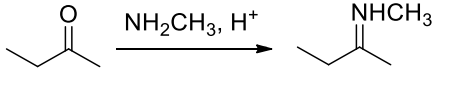 Solved NH2CH3, H+ NHCH3 | Chegg.com