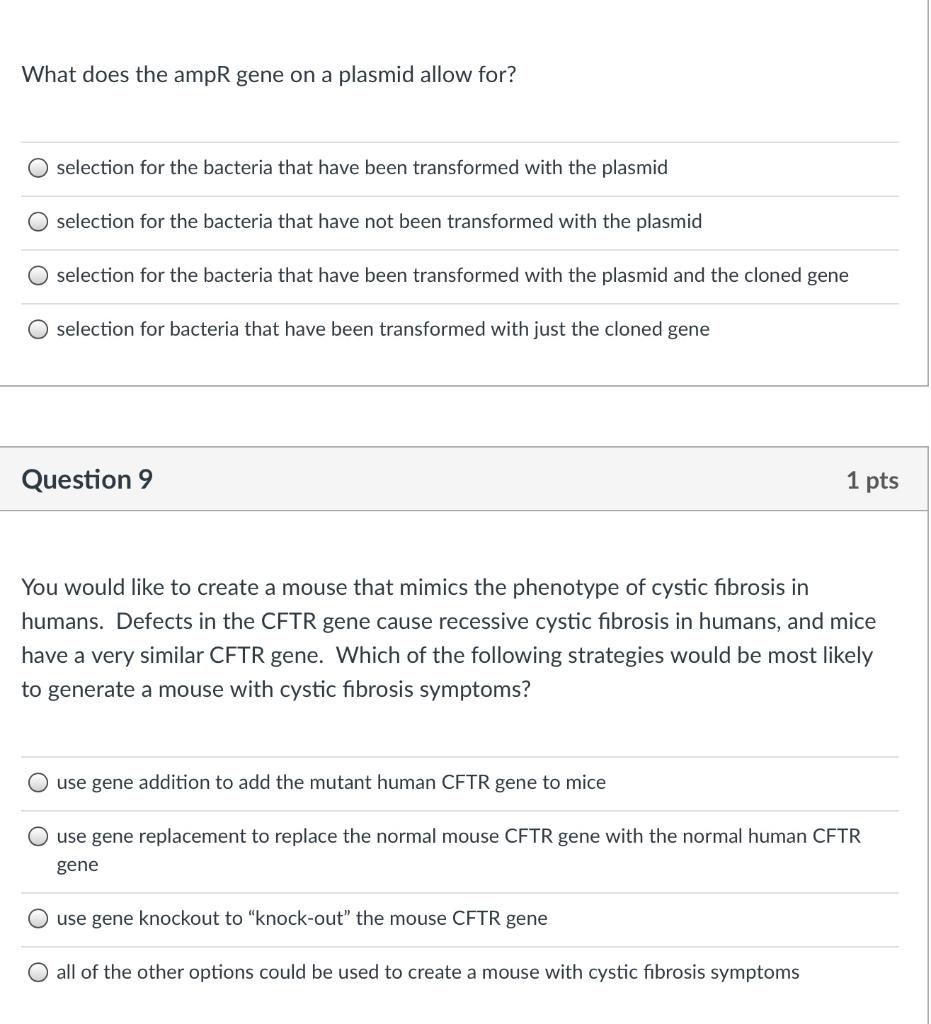Solved What does the ampR gene on a plasmid allow for? | Chegg.com