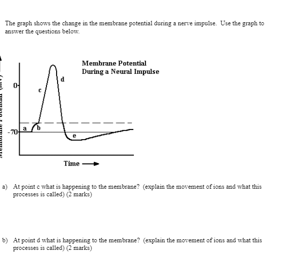 Solved The graph shows the change in the membrane potential | Chegg.com