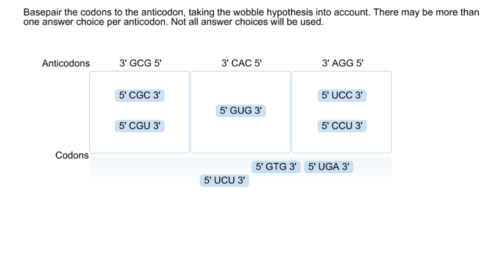 Solved Basepair the codons to the anticodon, taking the | Chegg.com