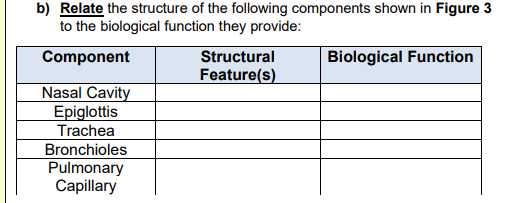 Solved b) Relate the structure of the following components | Chegg.com