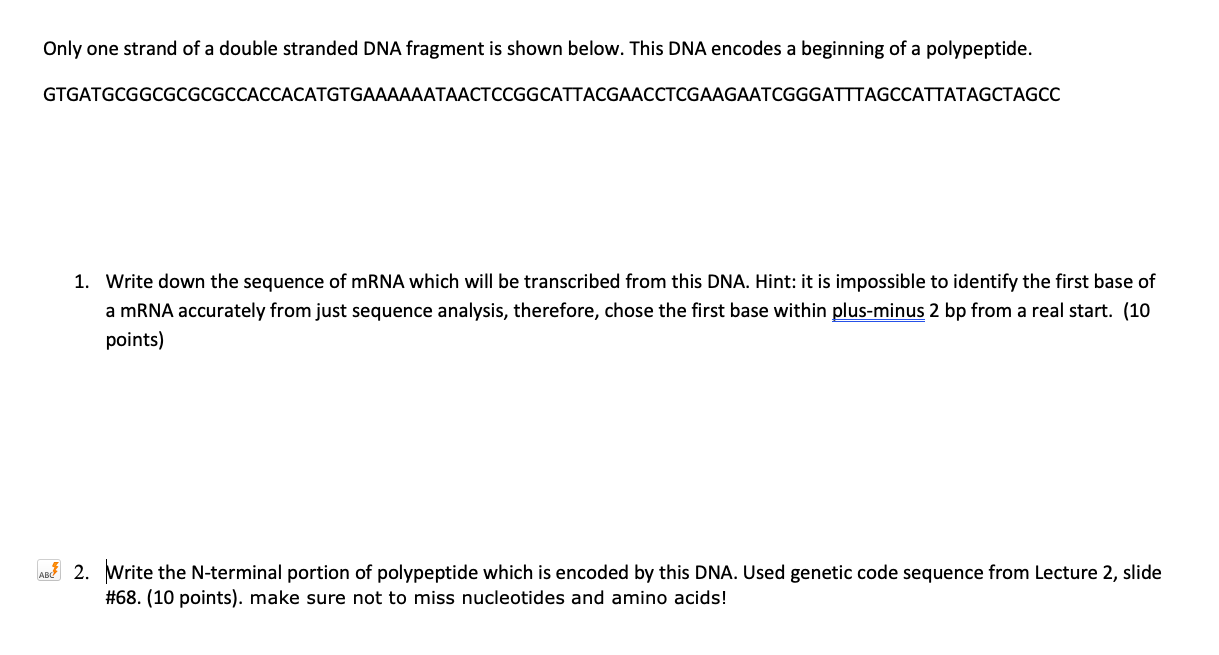 Solved Only one strand of a double stranded DNA fragment is | Chegg.com