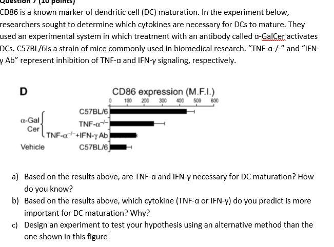 CD86 is a known marker of dendritic cell (DC) | Chegg.com