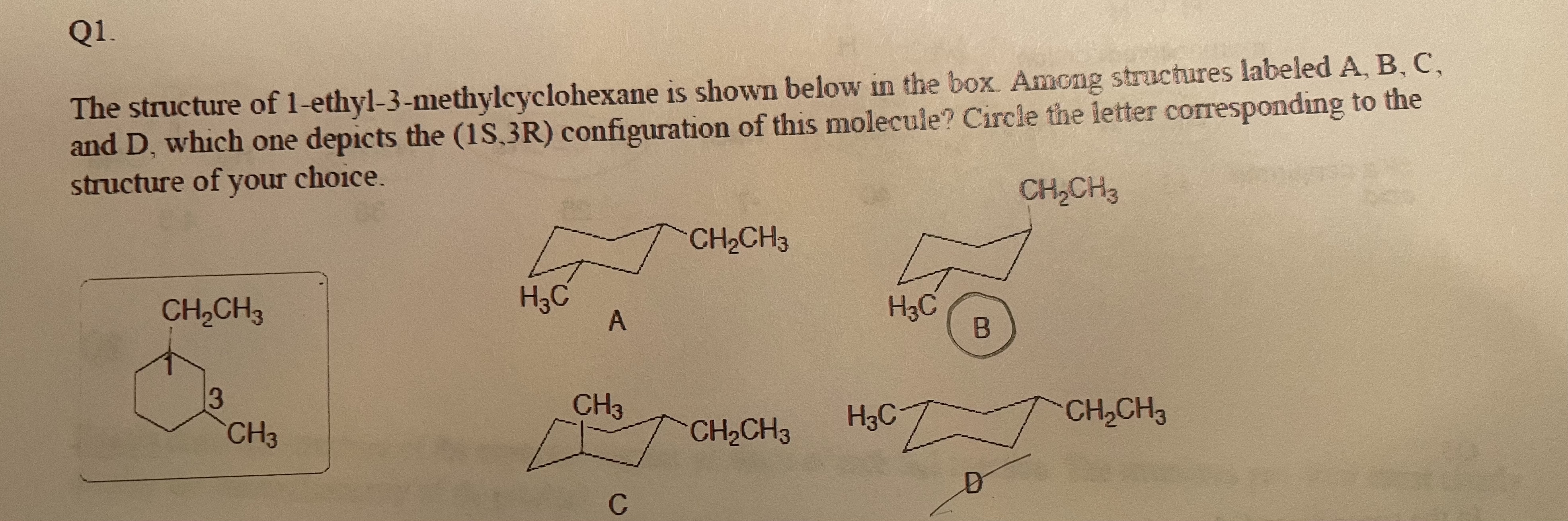 Solved The structure of 1-ethyl-3-methylcyclohexane is shown | Chegg.com