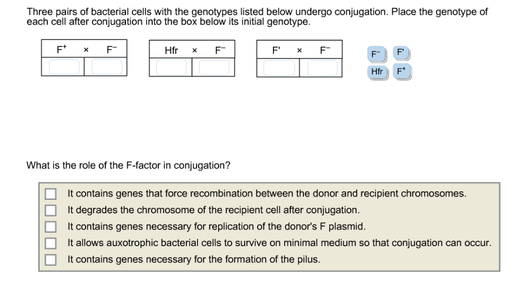Solved Three pairs of bacterial cells with the genotypes | Chegg.com