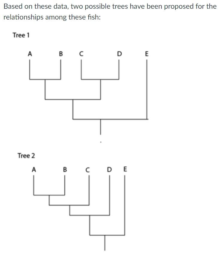 Solved You are investigating four new species A-D of | Chegg.com