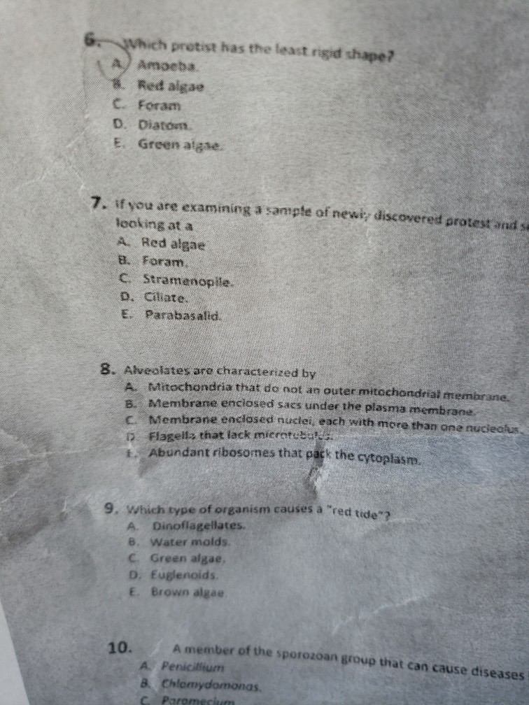 Solved Which protist has the least ngid shape? Amoeba Red | Chegg.com