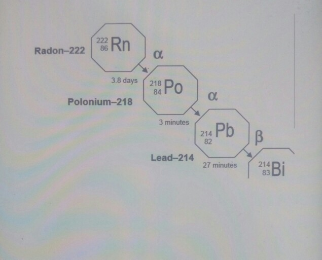 Solved nitially there was 1.06g of 222Rn generated in radon | Chegg.com