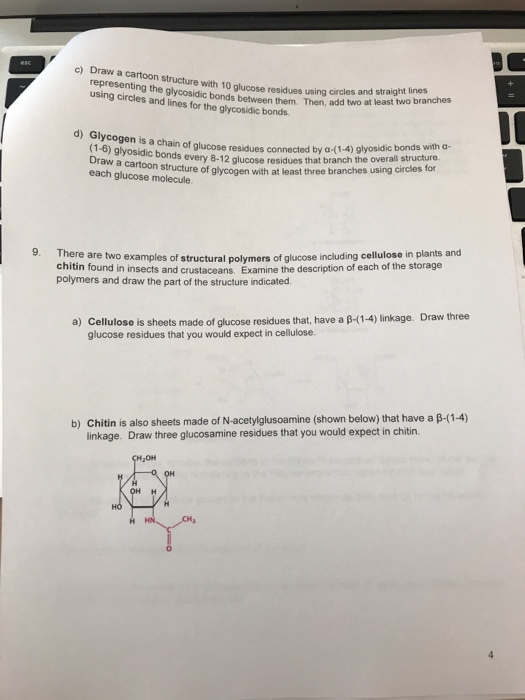 CHEM/BIOL 4351 Biochemistry I Take-home Assignment on | Chegg.com