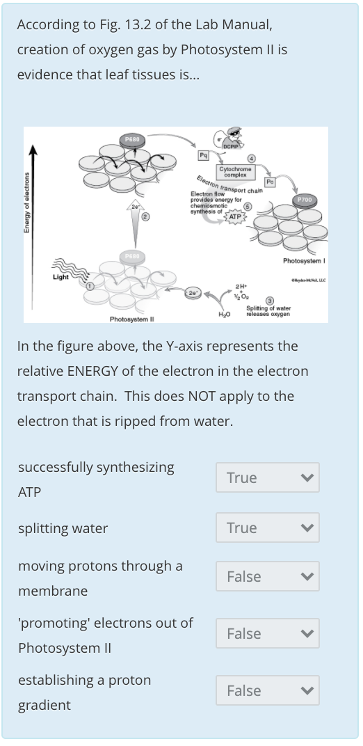 Solved In photosynthesis, the energy of an incoming photon | Chegg.com