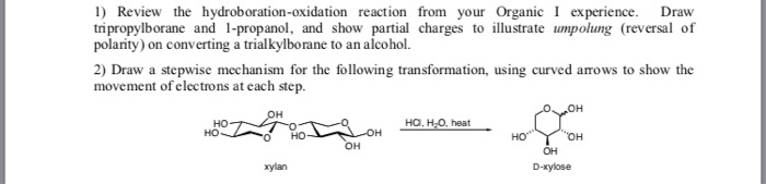 Solved 1) Review the hydroboration-oxidation reaction from | Chegg.com