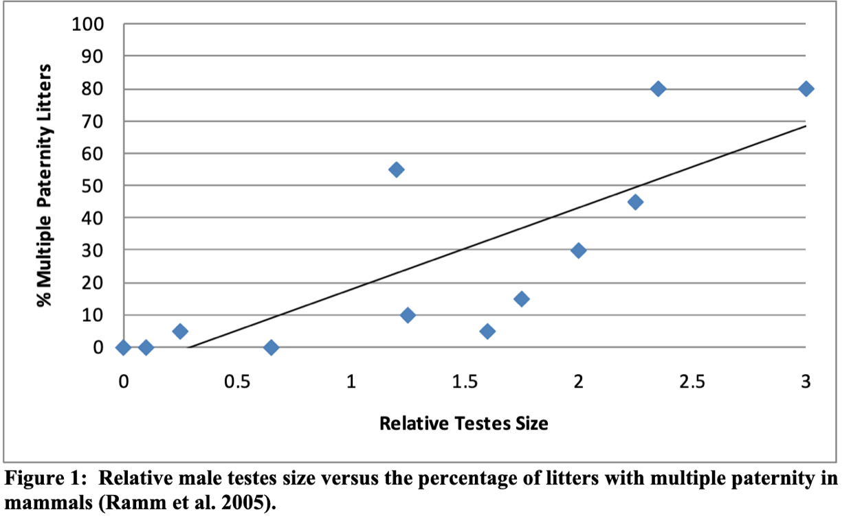 Solved Sexual Selection and Testicle Size What is the first | Chegg.com