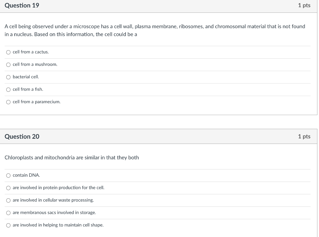 Solved Question 17 1 pts Below is a diagram of a bacterium. | Chegg.com