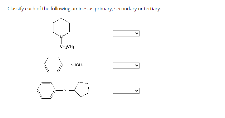 Solved Classify each of the following amines as primary, | Chegg.com