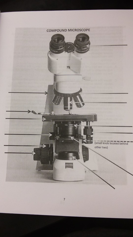 Solved COMPOUND MICROSCOPE e) (small knob located behind | Chegg.com