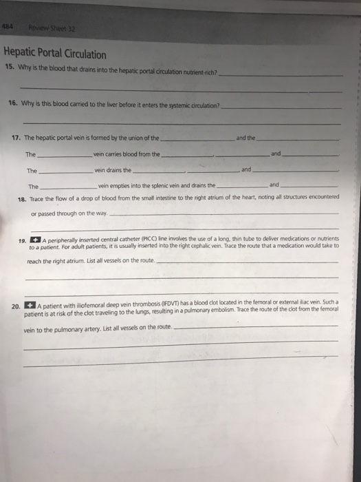 Solved 484 Review Sheet 32 Hepatic Portal Circulation 15. | Chegg.com