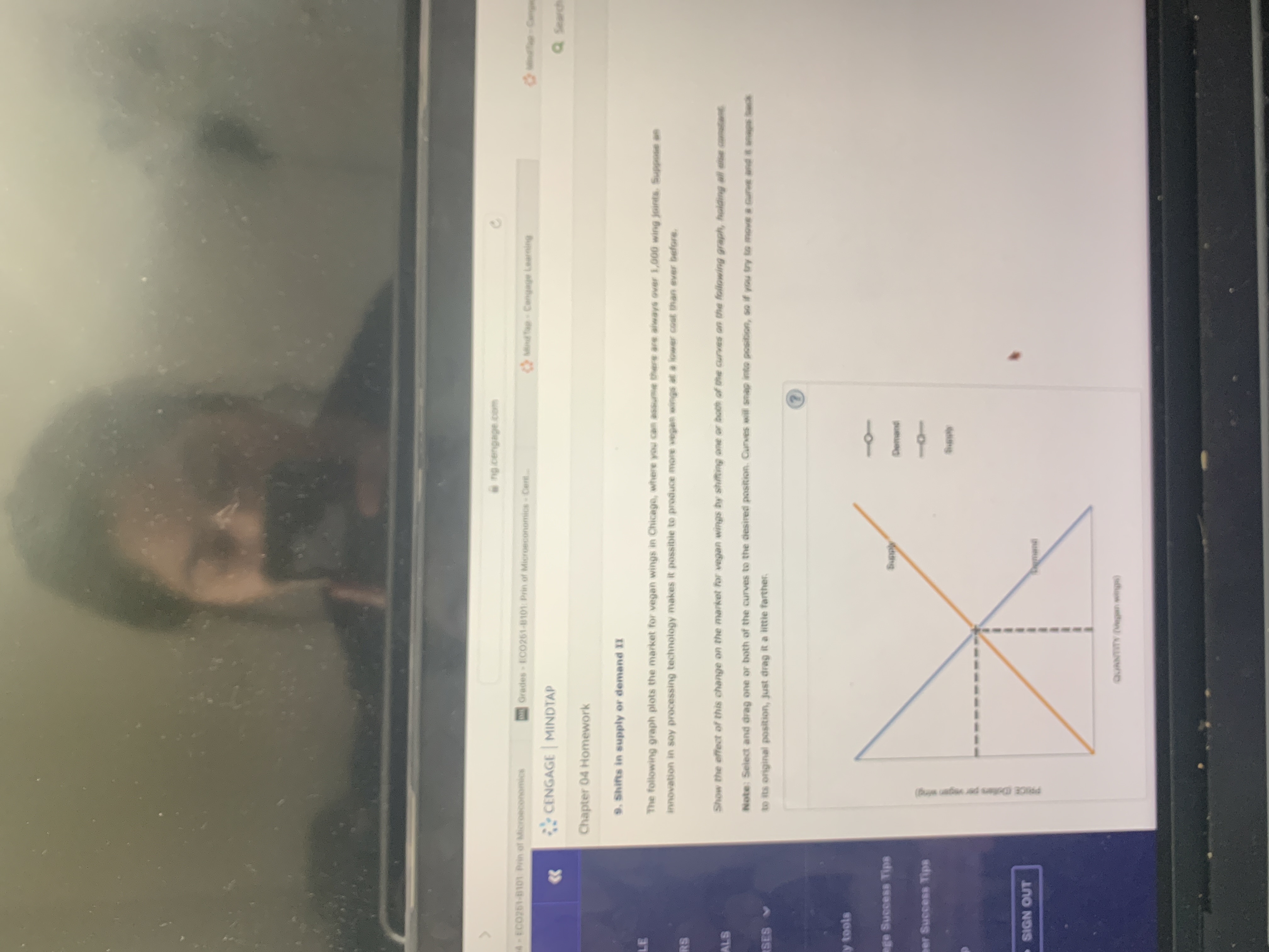 Solved Chapter 04 ﻿Homework9. ﻿Shins in supply or demand | Chegg.com