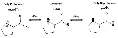 Solved At which pH will a solution of proline have equal | Chegg.com
