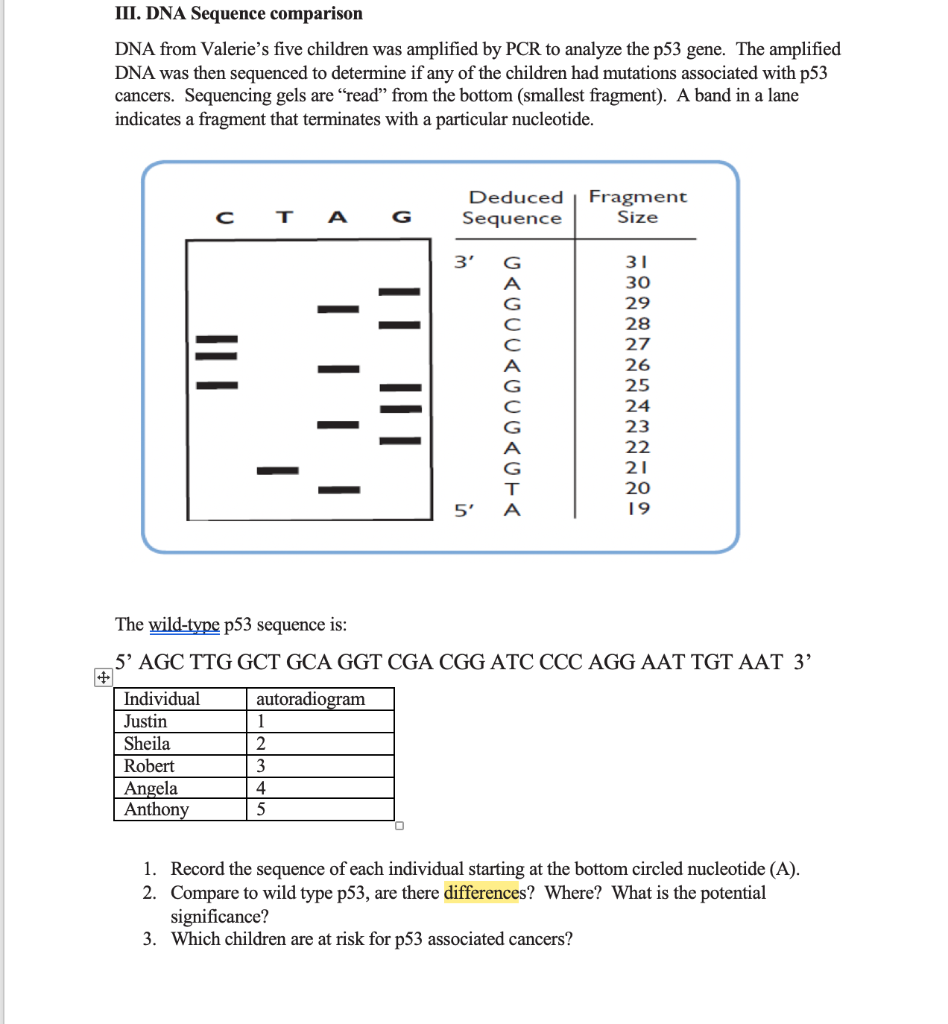 Solved Iii Dna Sequence Comparison Dna From Valeries Five