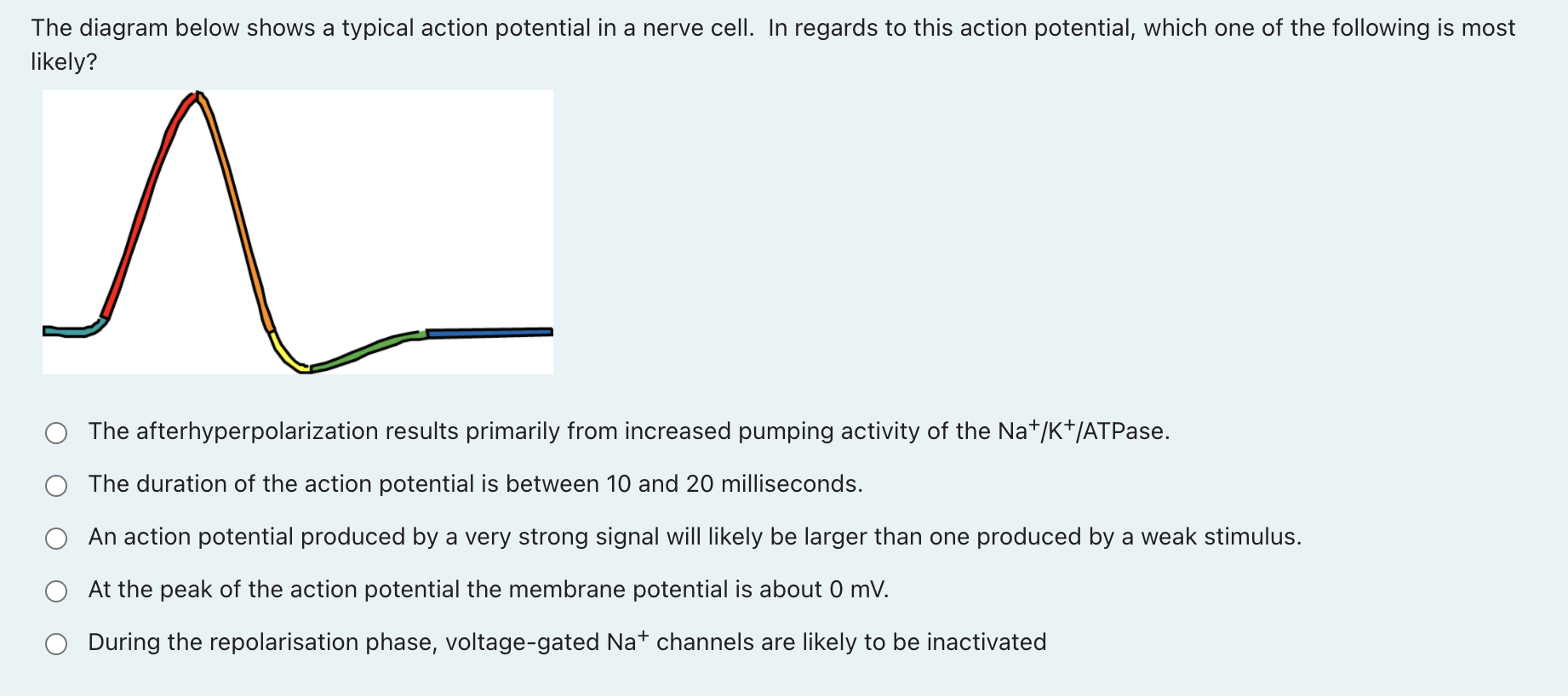 Solved The diagram below shows a typical action potential in | Chegg.com