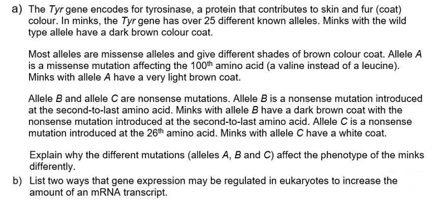 Solved a) The Tyr gene encodes for tyrosinase, a protein | Chegg.com