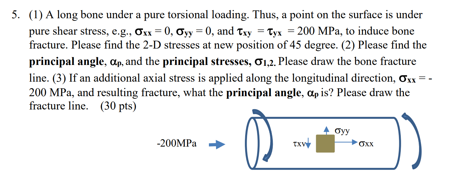Solved 5. (1) A long bone under a pure torsional loading. | Chegg.com