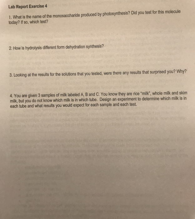 Solved Lab Report Exercise 4 1. What is the name of the | Chegg.com
