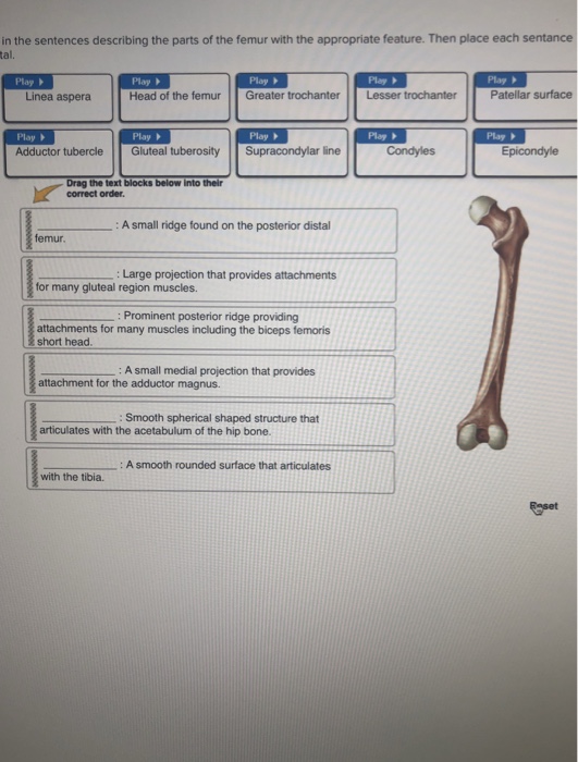 Solved Fill in the sentence and place each sentence in the | Chegg.com