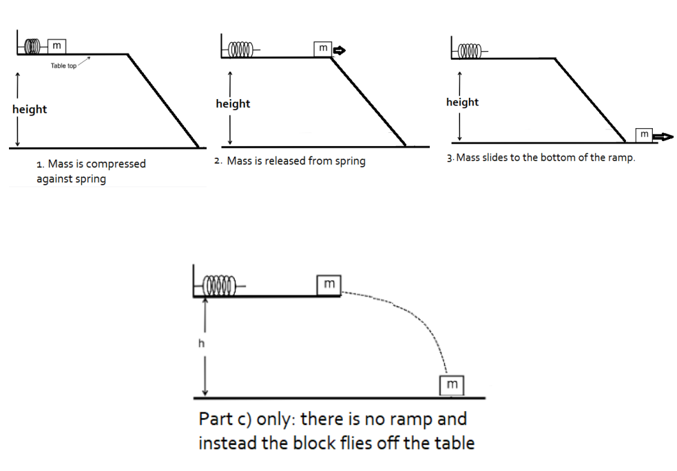 Solved The spring (k = 300 N/m) in the mass-spring system | Chegg.com
