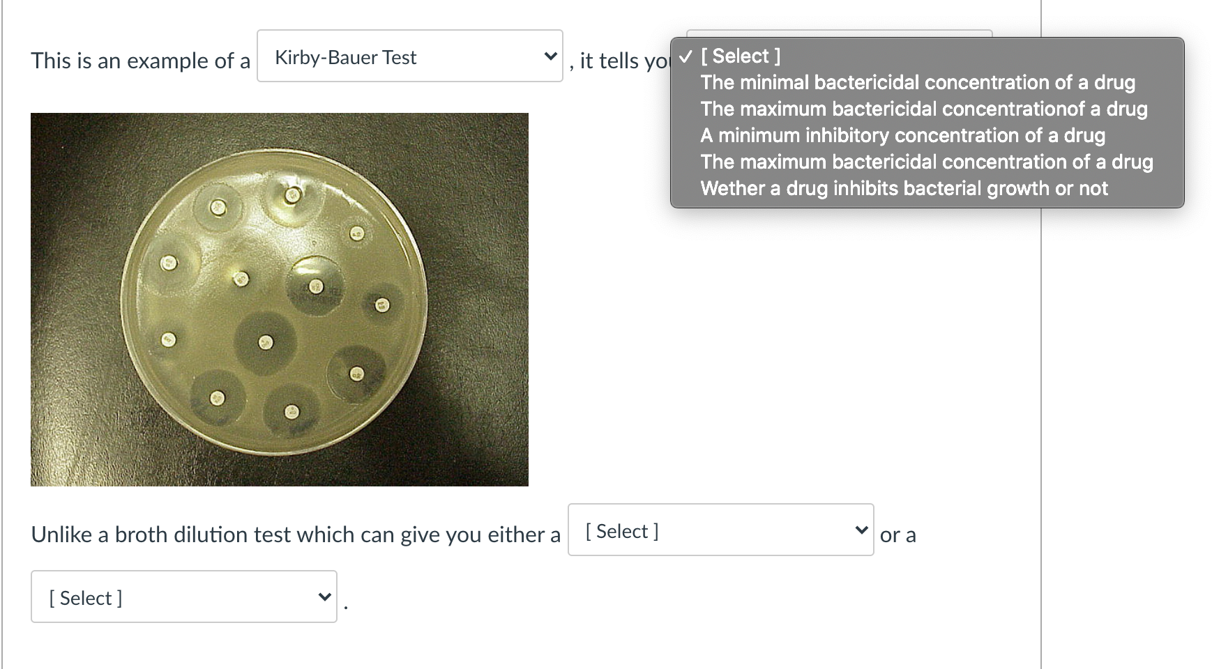 Solved This is an example of a Kirby-Bauer Test v , it tells | Chegg.com
