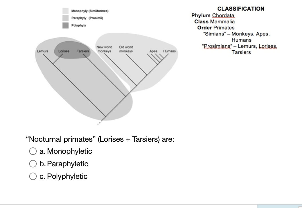 Solved Monophyly (Simiiformes) Paraphyly (Prosimi) Polyphyly | Chegg.com