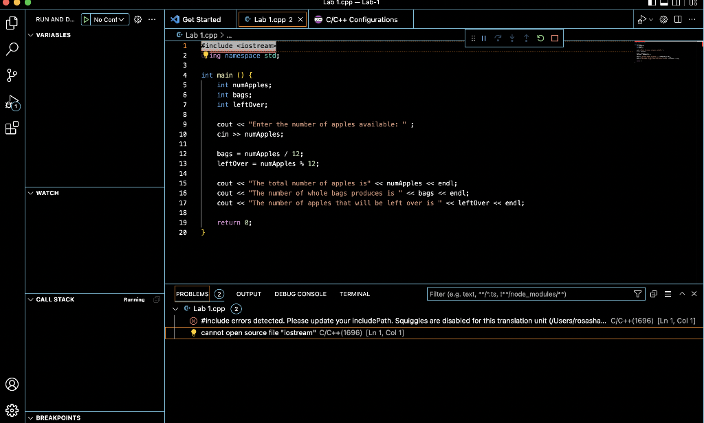 I am not sure what to do since the program will not | Chegg.com