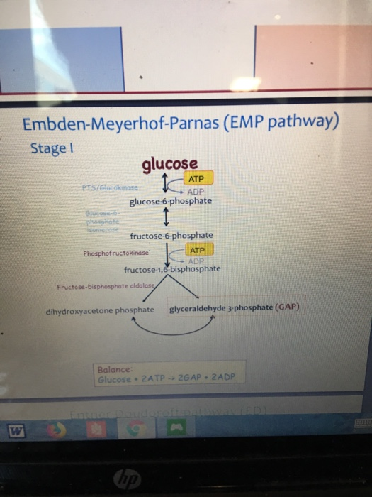 Solved carbohydrate catabolism Embden Meyerhof-Parnas (EMP | Chegg.com