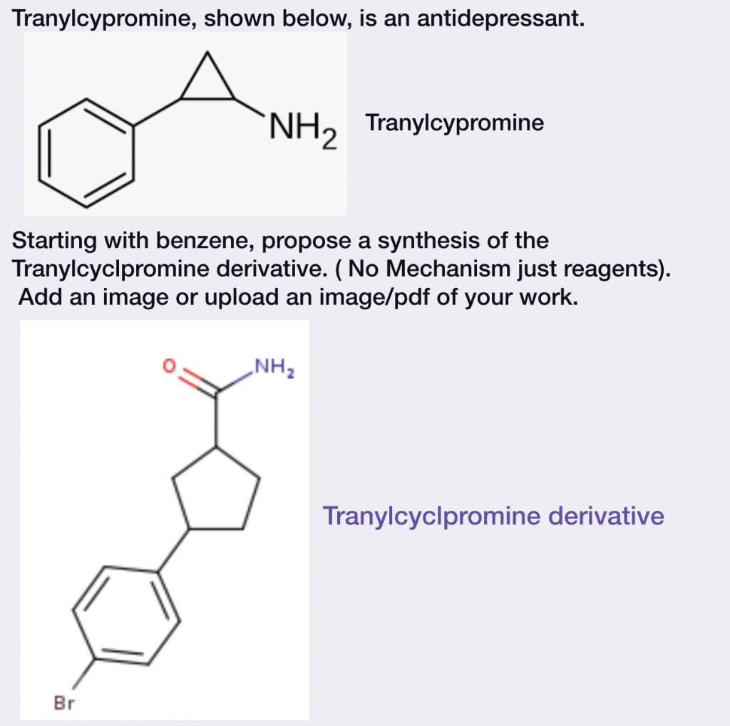 Solved Tranylcypromine, shown below, is an antidepressant. | Chegg.com