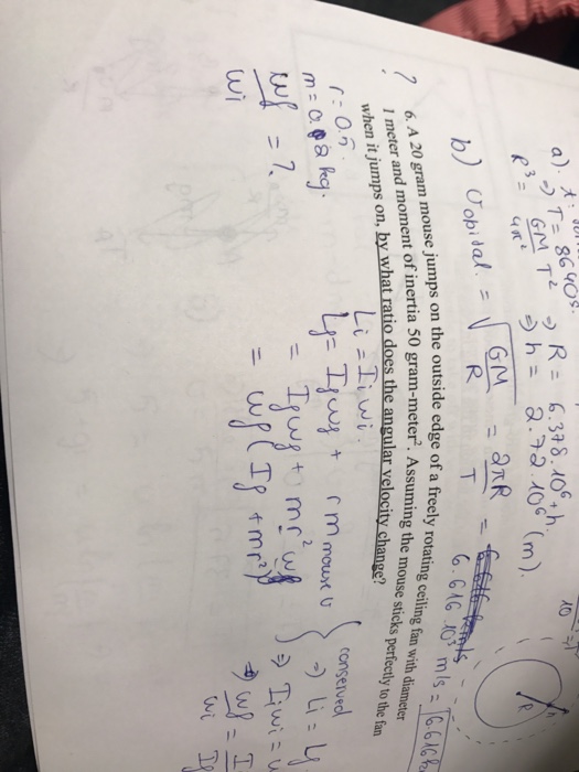 Solved A 20 gram mouse jumps on the outside edge of a freely | Chegg.com