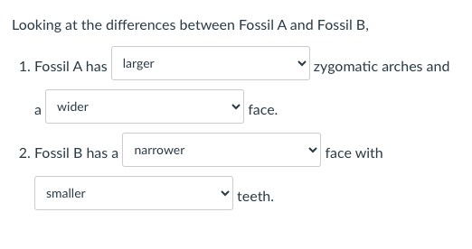 An Argument Could Be Made That Fossil A And Fossil B