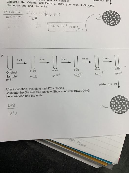 Solved piuu Colonies Calculate the Original Cell Density. | Chegg.com