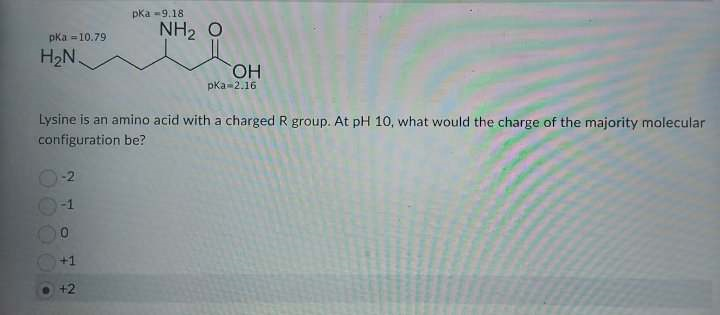 Solved Lysine is an amino acid with a charged R group. At | Chegg.com