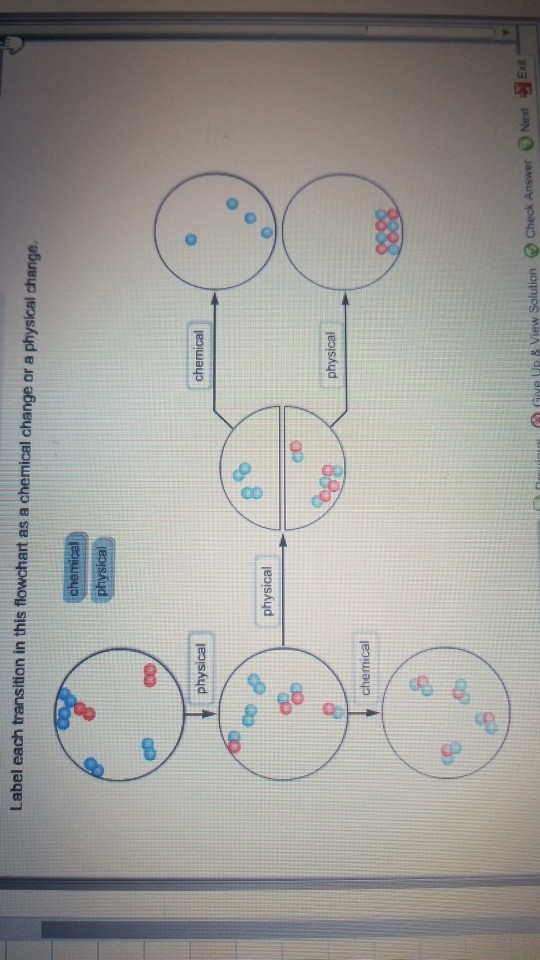 Solved Label each transition in this flowchart as a chemical | Chegg.com