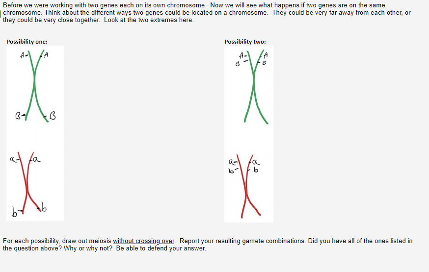 Solved Before we were working with two genes each on its own | Chegg.com