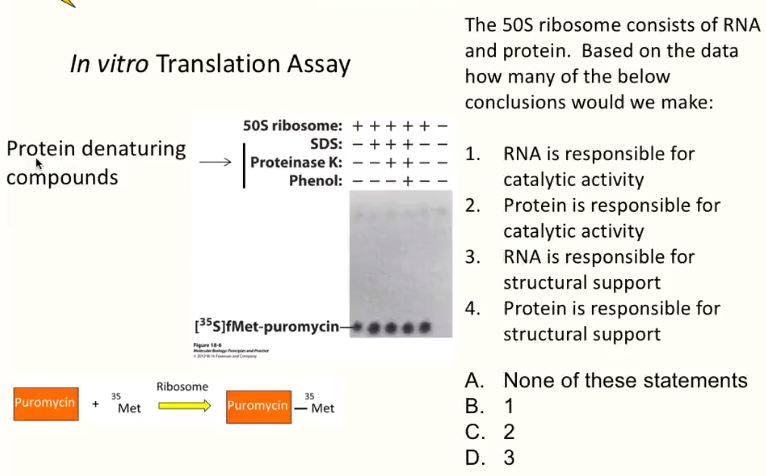 Solved The 50S ribosome consists of RNA and protein. Based | Chegg.com