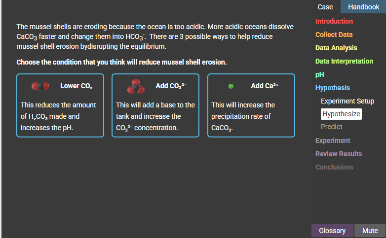 Solved The mussel shells are eroding because the ocean is | Chegg.com