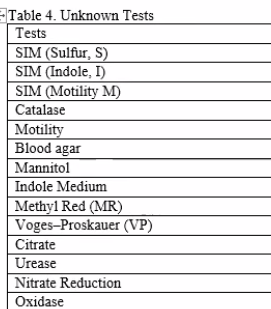 Solved Subject Line Microbiology Please help Name of the | Chegg.com