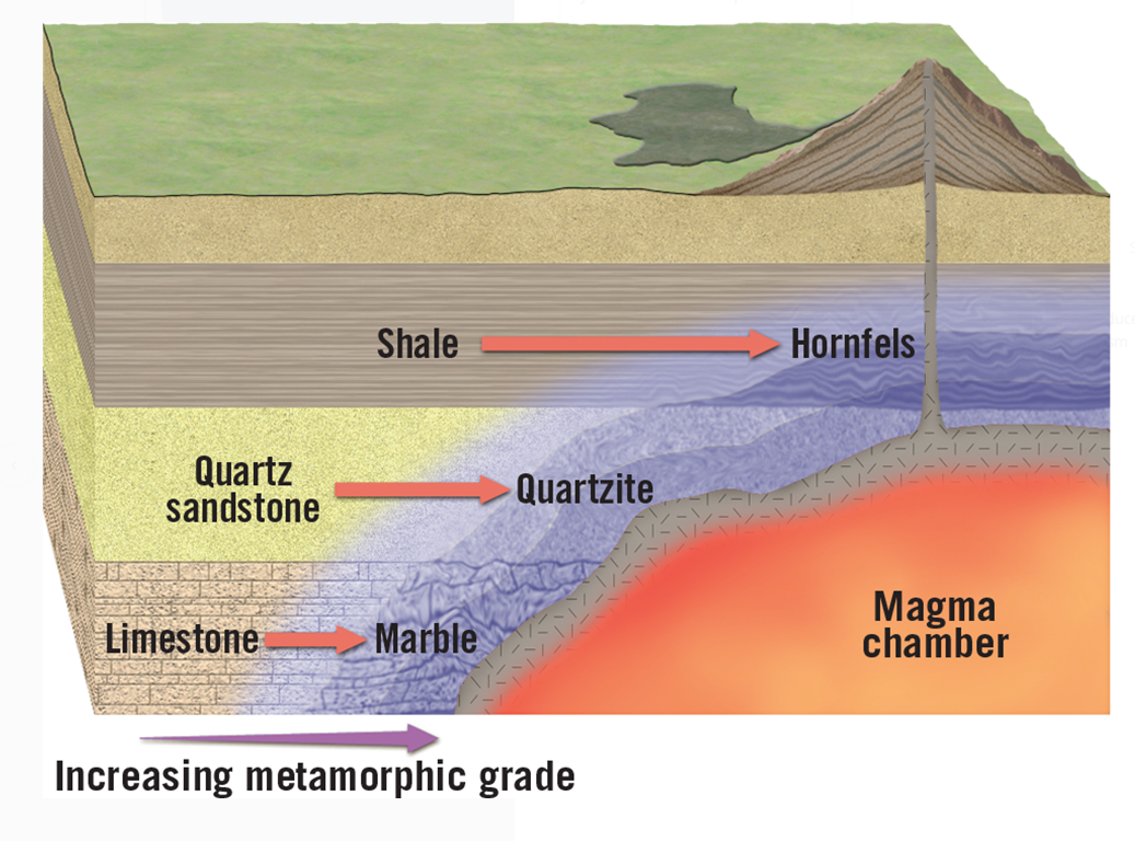 Solved 14. Using text fig 8.20 (12e) & Lessons name | Chegg.com