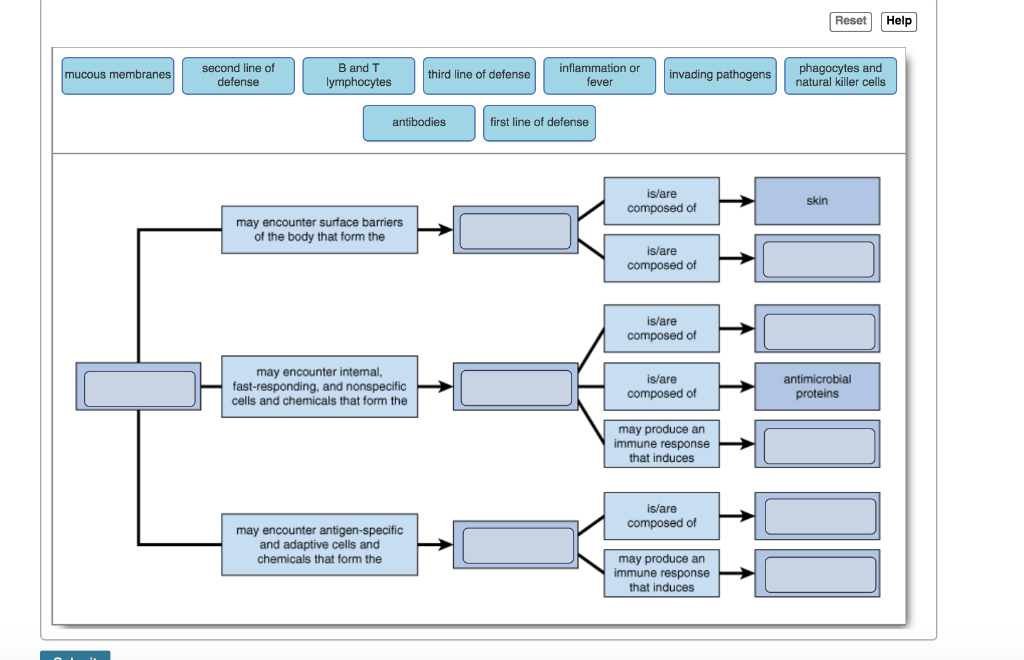 Solved ResetHelp second line of defense inflammation or | Chegg.com
