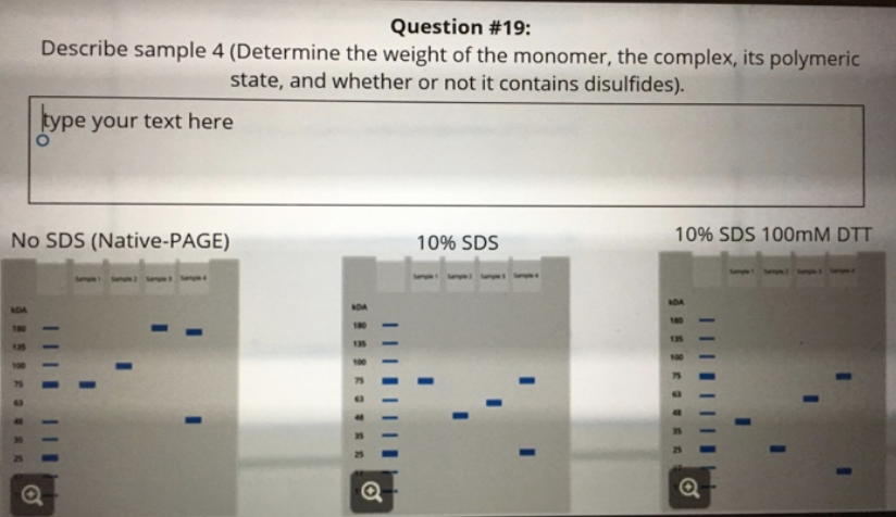 Solved Question \#19: Describe sample 4 (Determine the | Chegg.com